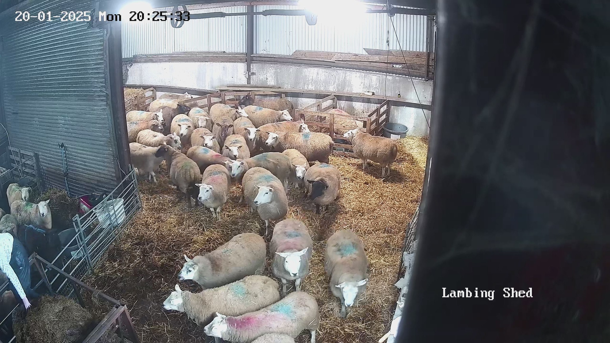 CCTV Installation & Services in West Wales | TechSmart Fire & Security